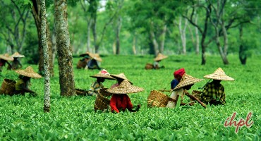 Winter Holiday Destinations in India | Places to Visit in India in Winter