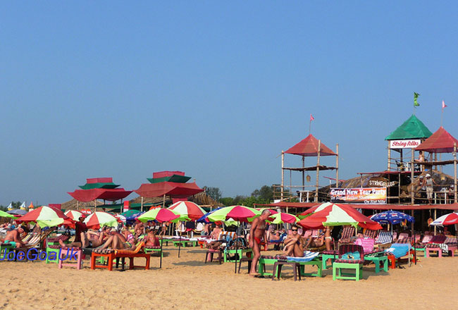 Photo Gallery of Candolim Beach Goa- Explore Candolim Beach Goa with ...