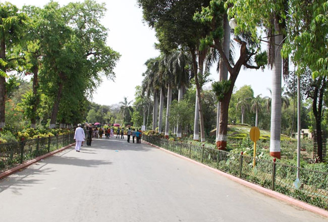 Photo Gallery of Sayaji Bagh- Explore Sayaji Bagh with Special ...