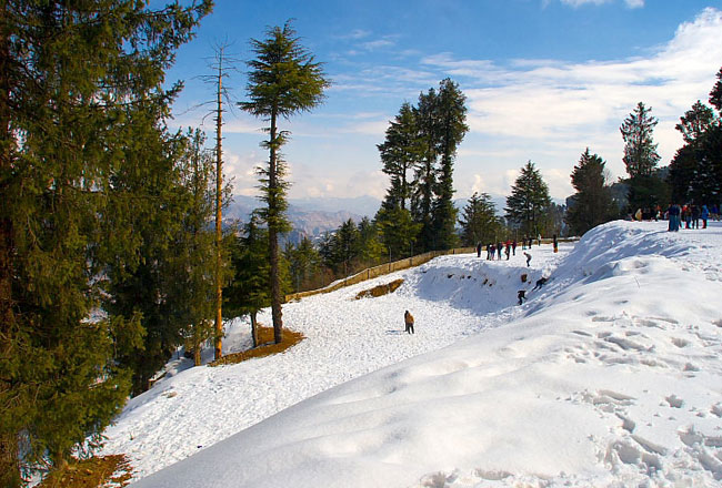 Photo Gallery of Kufri- Explore Kufri with Special Attractive Real Pictures