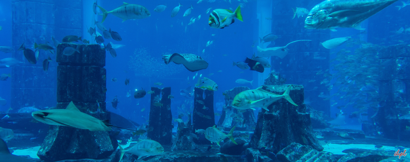 Lost Chambers and Ambassador Lagoon in Dubai | Ticket Price