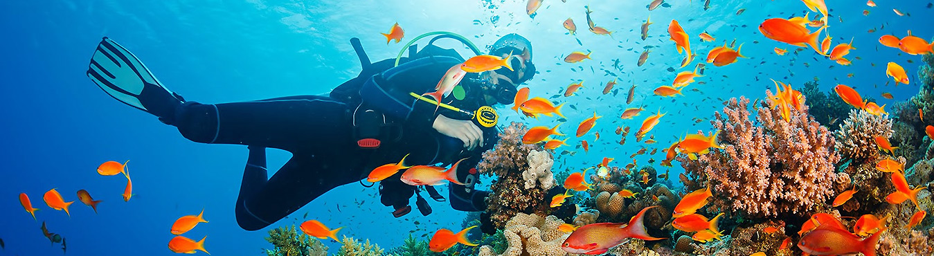 Book your Thailand package and enjoy Scuba diving in Thailand.