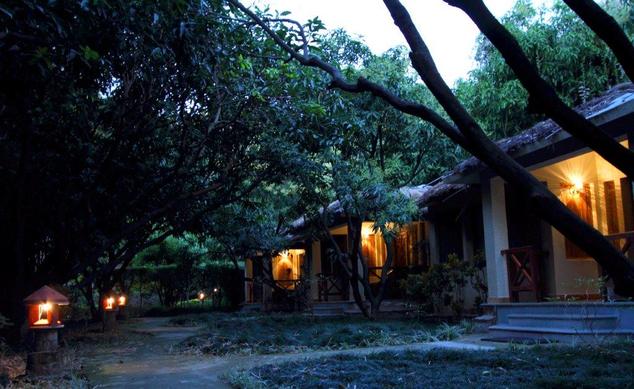 Tiger Camp Resort - Indian Holiday