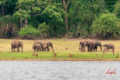 Short Tour to Kabini From Bangalore | Weekend Trip to Kabini