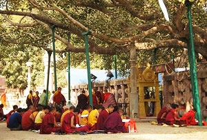 Bihar Travel Guide | Bihar Travel Inforamtion