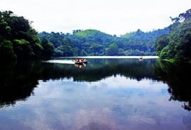 Pookode Lake Kerala: How to Reach, Activities, Nearby Attractions