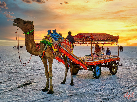Top Activities in Gujarat | Best Things to Do in Gujarat