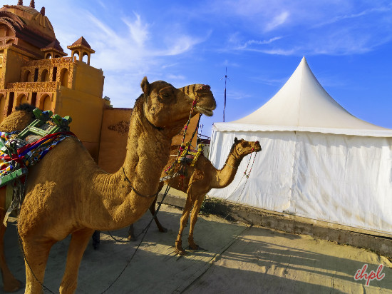 Top Activities in Gujarat | Best Things to Do in Gujarat