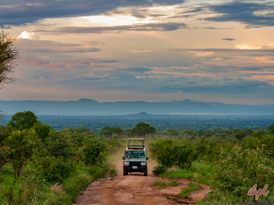Top Activities in Gujarat | Best Things to Do in Gujarat