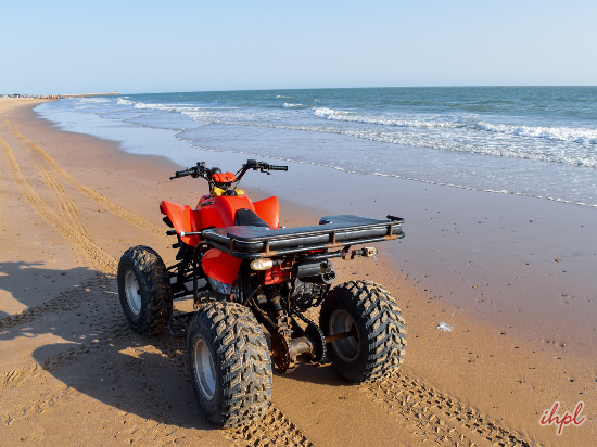 Top Activities in Gujarat | Best Things to Do in Gujarat