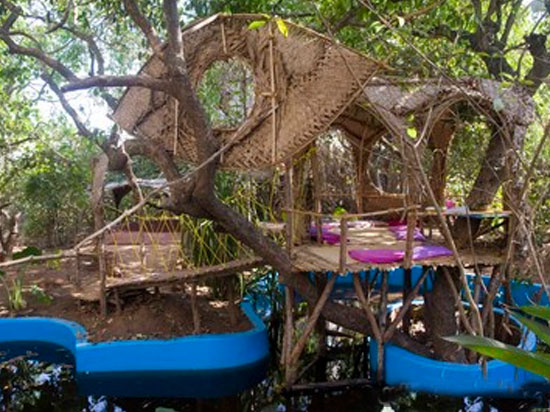 Restaurants in Goa – Top 15 Restaurants in Goa | India Travel Guide