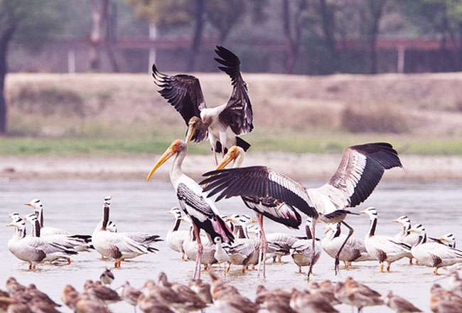 Short Trip to Manesar From Delhi - Weekend Trip