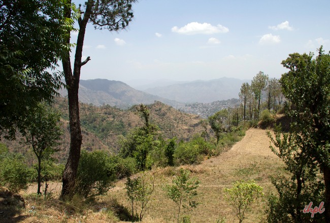 Short Trip to Barog From Delhi - Weekend Trip