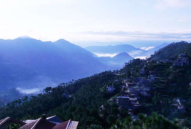 Short Trip to Barog From Delhi - Weekend Trip