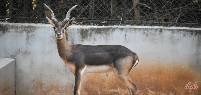 Guindy National Park Tamil Nadu- IHPL