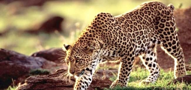 Papikonda Wildlife Sanctuary, Andhra Pradesh