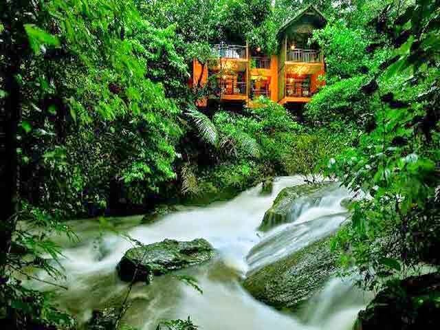 Top 10 Tree House Resorts in India | IndianHoliday