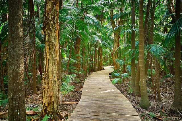 21 Reasons Why Australia Should be your Next Travel Destination