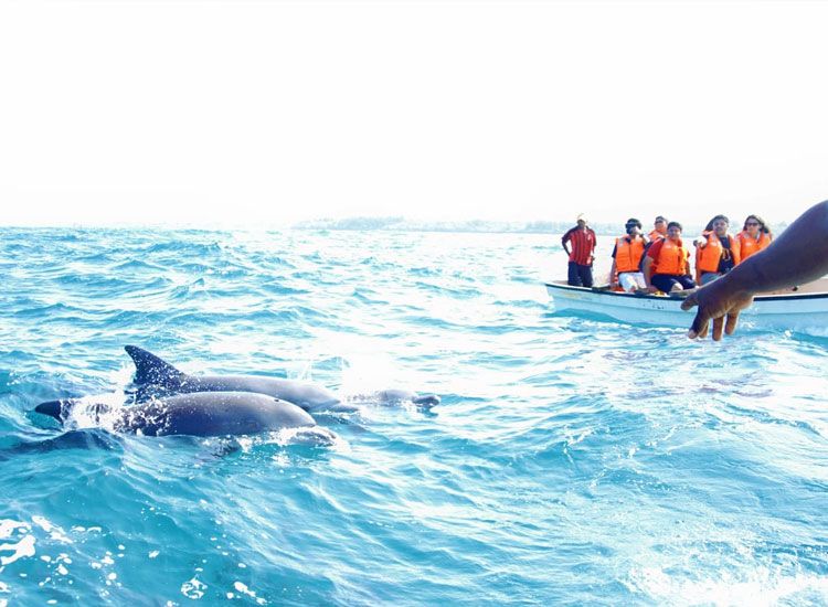 Go Offbeat in Goa | Go Offbea Thinges To Do In Goa | Travel Tips