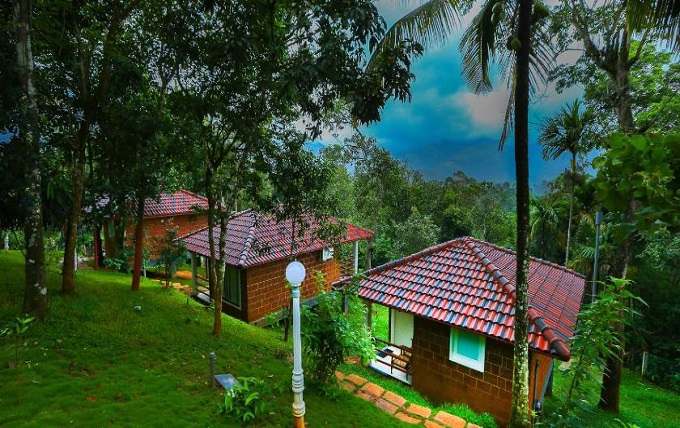 Tree House Resorts in Kerala you must include in your vacation
