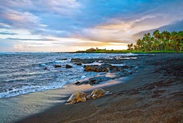 12 Reasons Why you Should Travel to Macau Next