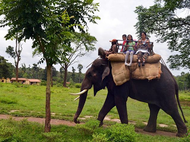 15 Must Visit Places in Coorg | Top Things to do in Coorg
