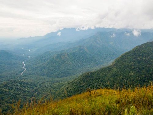 Top 15 Things to do in Wayanad | Tourist Attractions in Wayanad