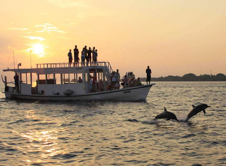 Things You Should Do In Goa in winter | Things to doa in Goa