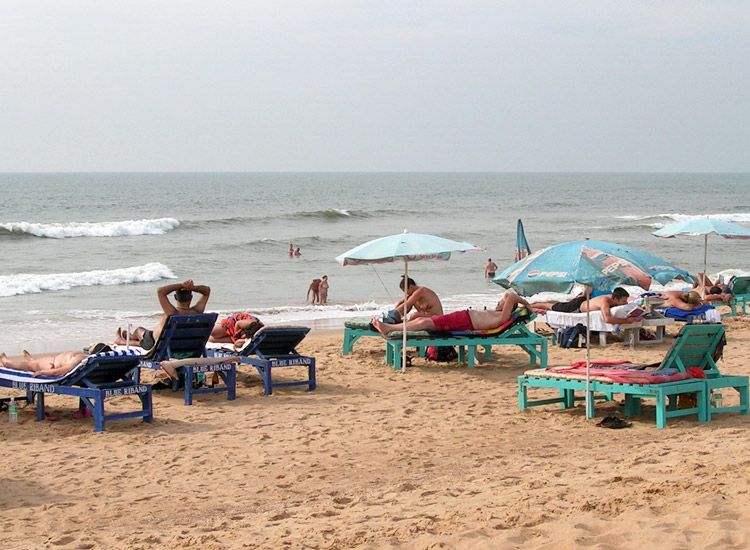 Things You Should Do In Goa in winter | Things to doa in Goa