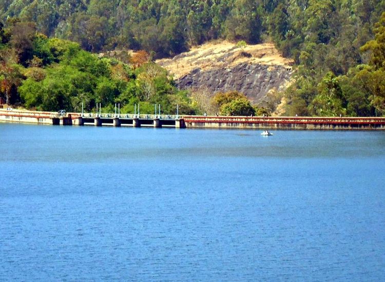 11 Amazing Things to do in Munnar | Tourist Places in Munnar