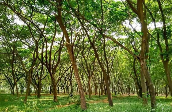 10 Creepy Urban Legends of India to Keep You Up At Night