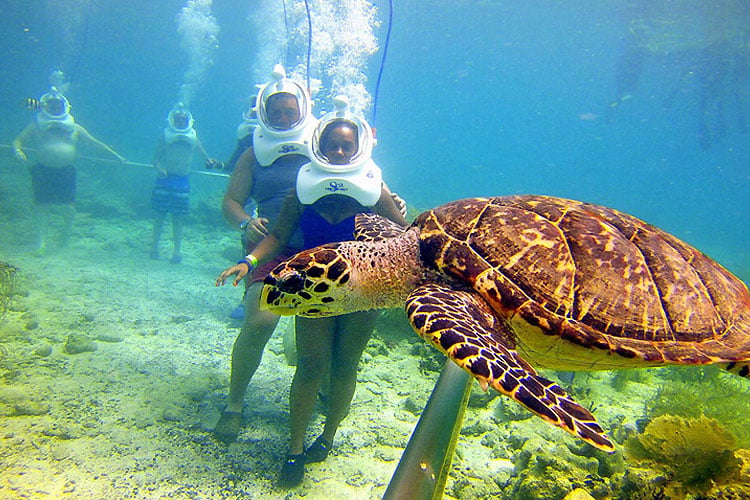 Top 10 Water Sports in Andaman That Water Babies Must Try!