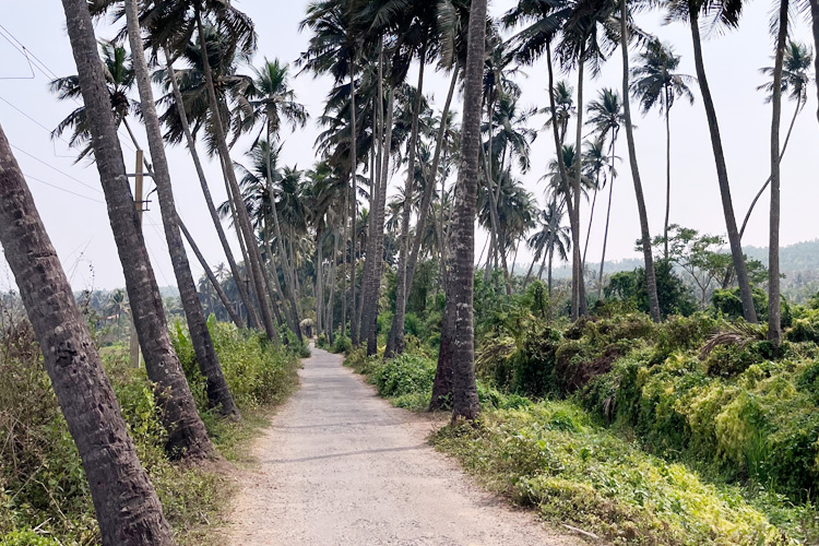 Beyond the Beaches! Enjoy Unique Travel Experiences On Your Next Goa Tour