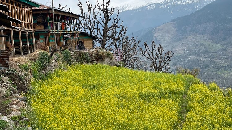 Experience Kalap, An Eco-Village Before Mass Tourism Takes Over