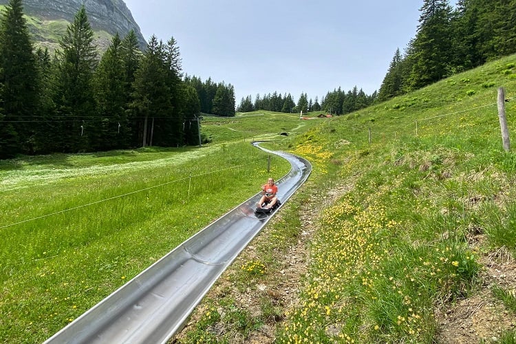 11 Best Mountain Coasters In Switzerland