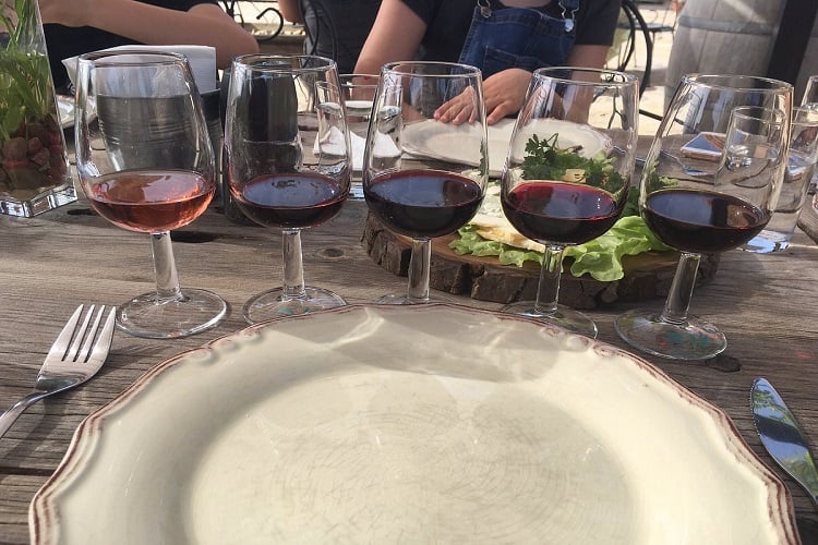 Learn To Make The Perfect Wine And Food Pairings At Karnas Vineyards