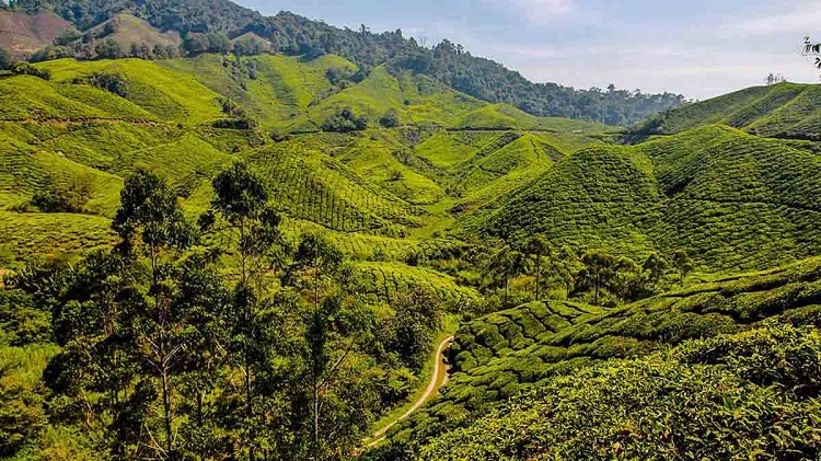 Top 7 Best Places To Visit In April In Assam For Memorable Trip