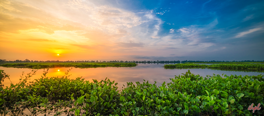 Things to Do in Jorhat - Explore Top Attractions & Activities