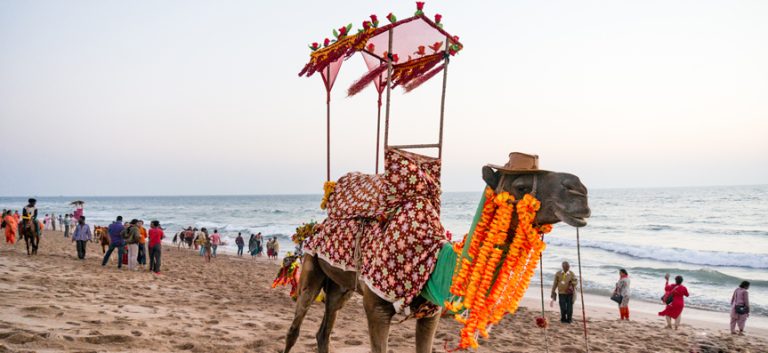 How to Reach Diu | Ways of Reaching Diu by Road, Rail and Air - IHPL