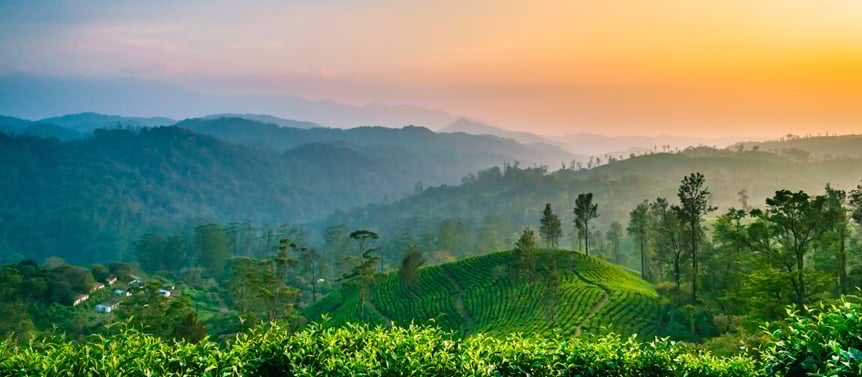 How to Reach Munnar: A Quick and Handy Guide