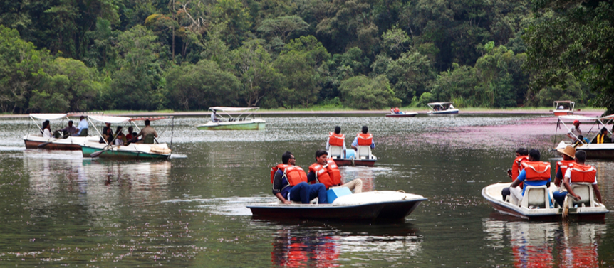 How to Reach Wayanad: A Quick and Handy Guide