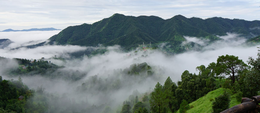 Short Trip to Shoghi From Delhi - Weekend Trip