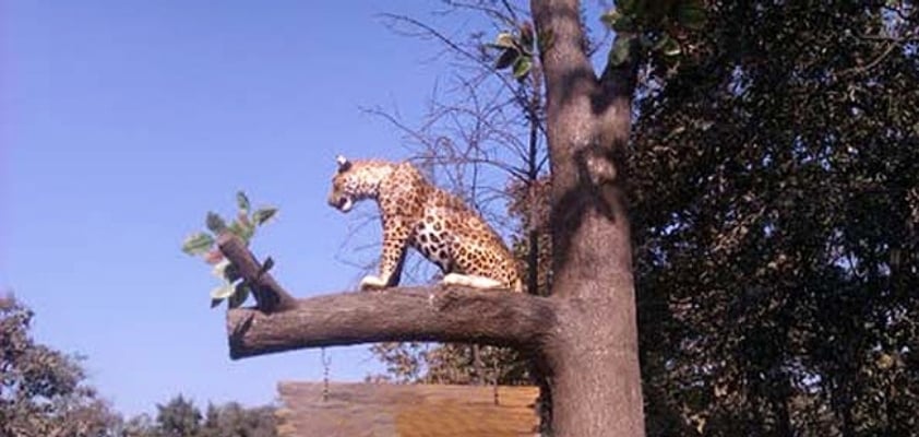 Vansda National Park-Travel Guide Vansda National Park