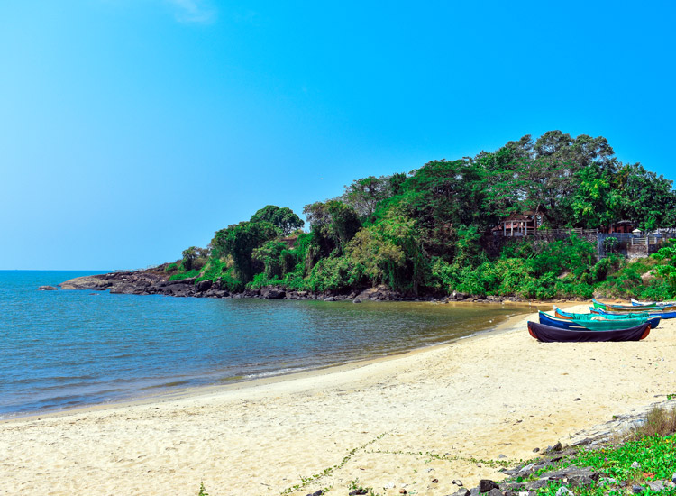 Best Coastal Experience: Kerala vs Goa – Which to Choose?