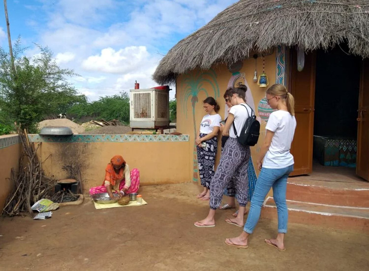 Sustainable Wildlife Adventures in Rajasthan's Winter