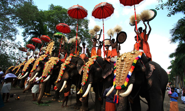 Festival Photography & Cultural Celebrations in Kerala | Indian Holiday