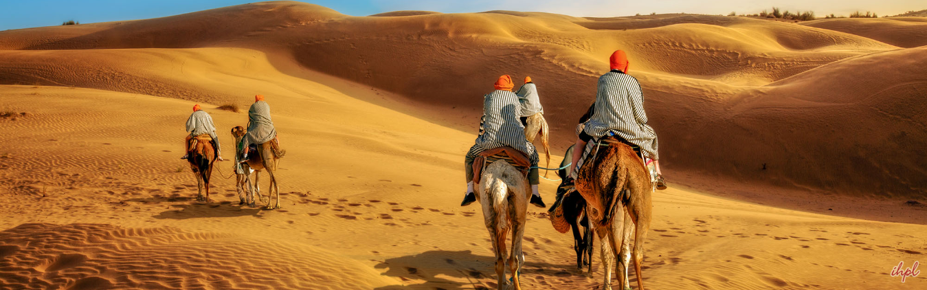 Rajasthan Desert Safari Tour Package 17 Days | Indian Holiday