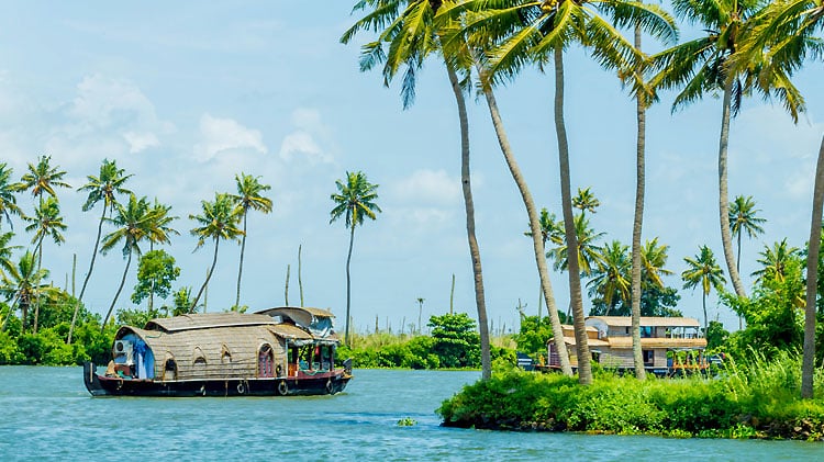 Insider Tips for Kerala Backwaters by Indian Holiday
