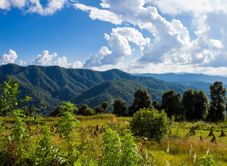 Best Places to Visit in Binsar for Nature & Peace | Indian Holiday