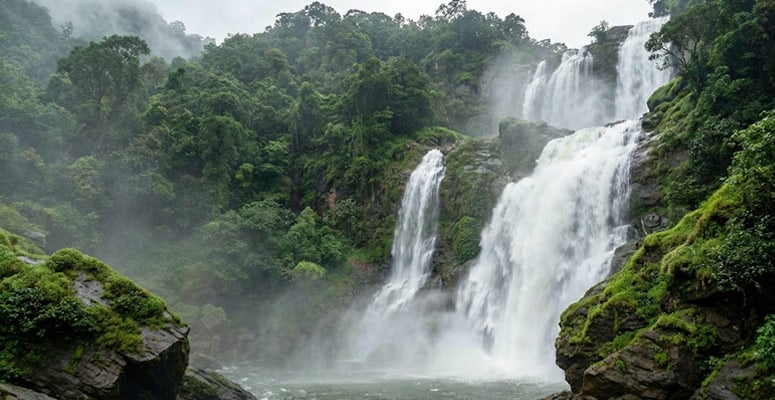 Things to Do in Kerala: 20 Must-Do Experiences (2026 Guide)